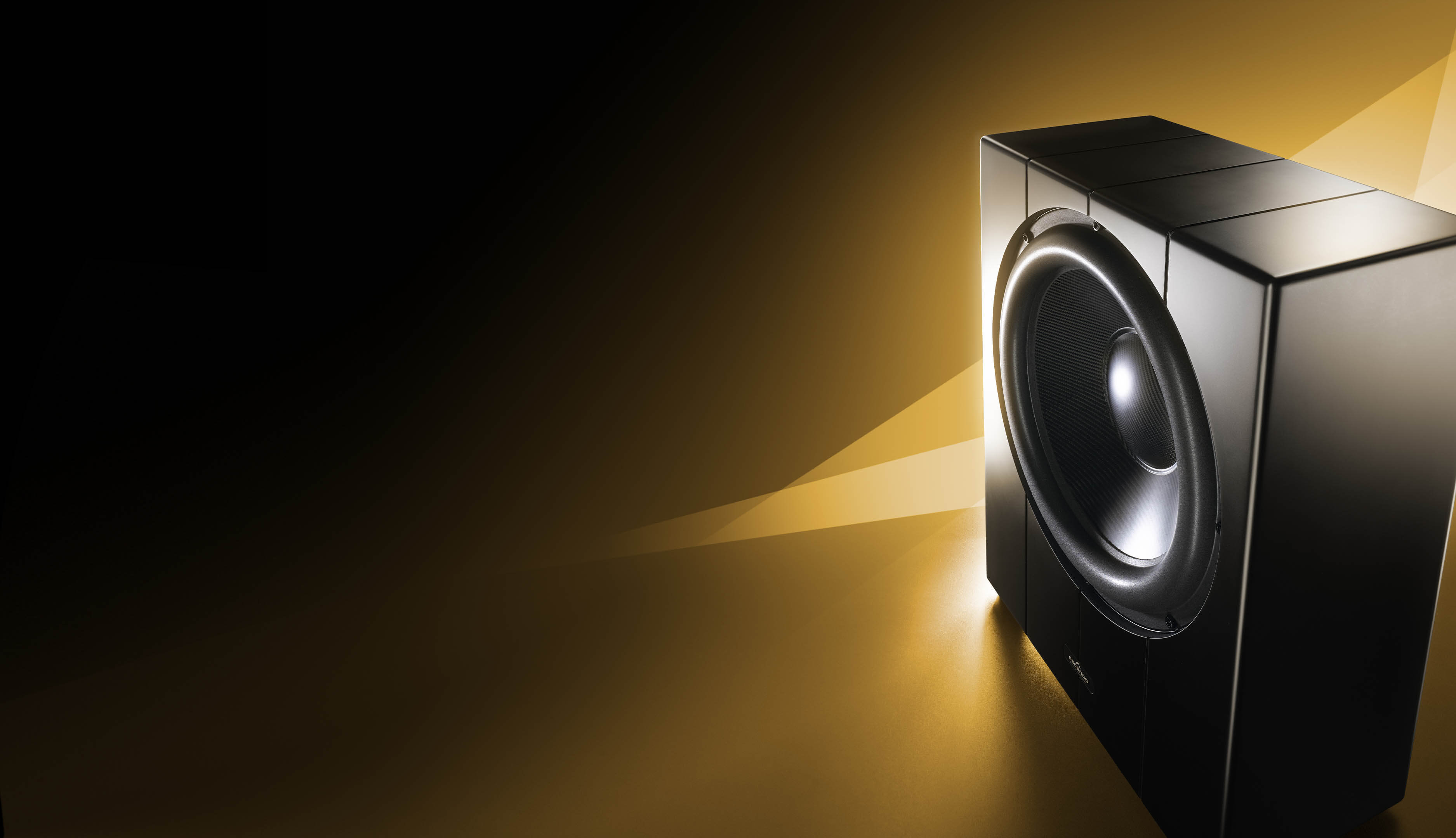 THE18 SUB PRO PASSIVE SEALED SHALLOW